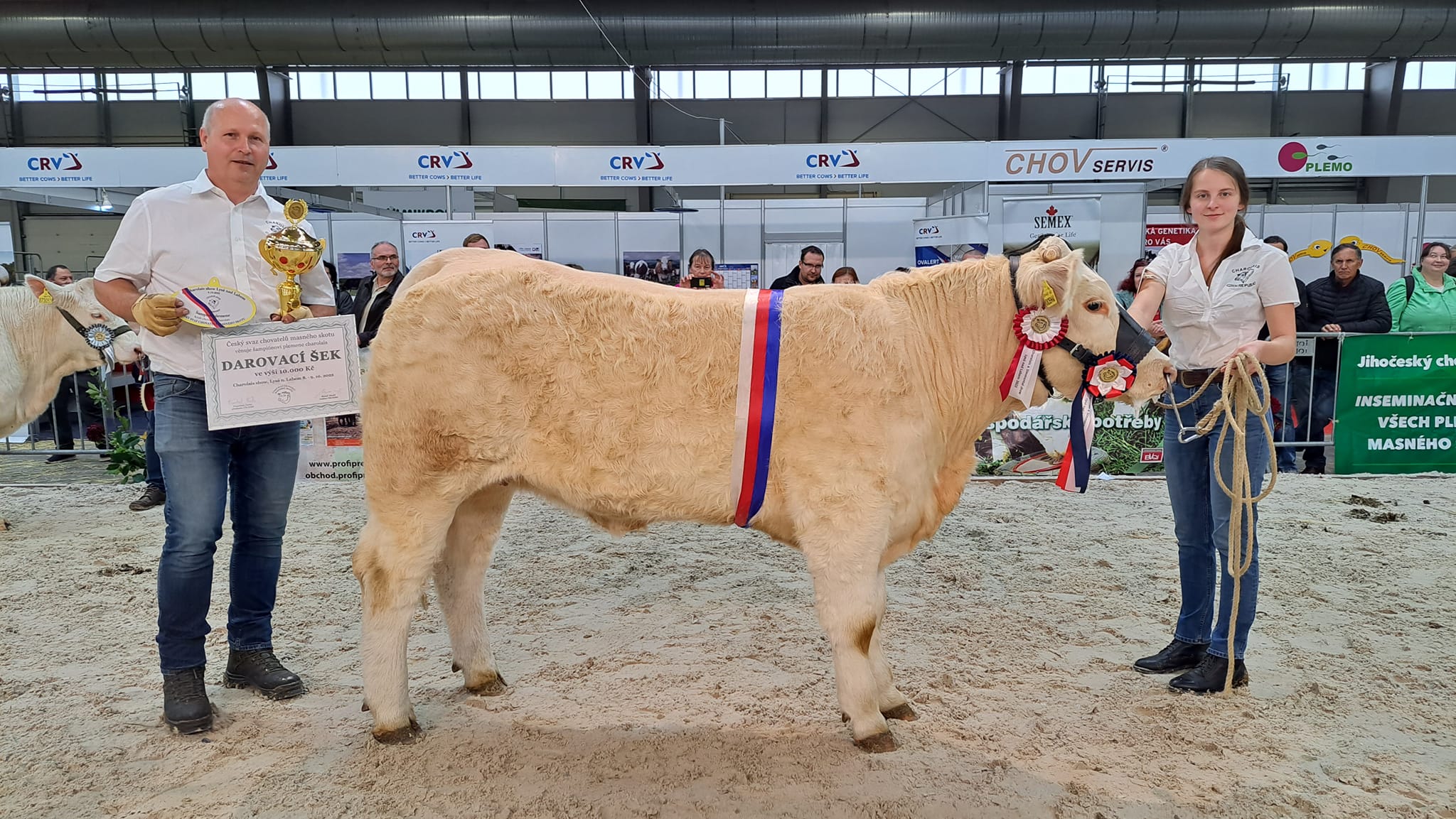 Šampióni Charolais & Simmental show 2022 - Agropress.cz